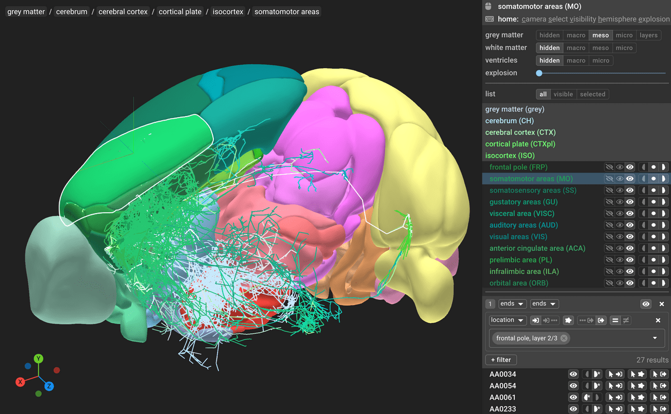 Mouse 3D Atlas | Signals, Symbols, and Systems